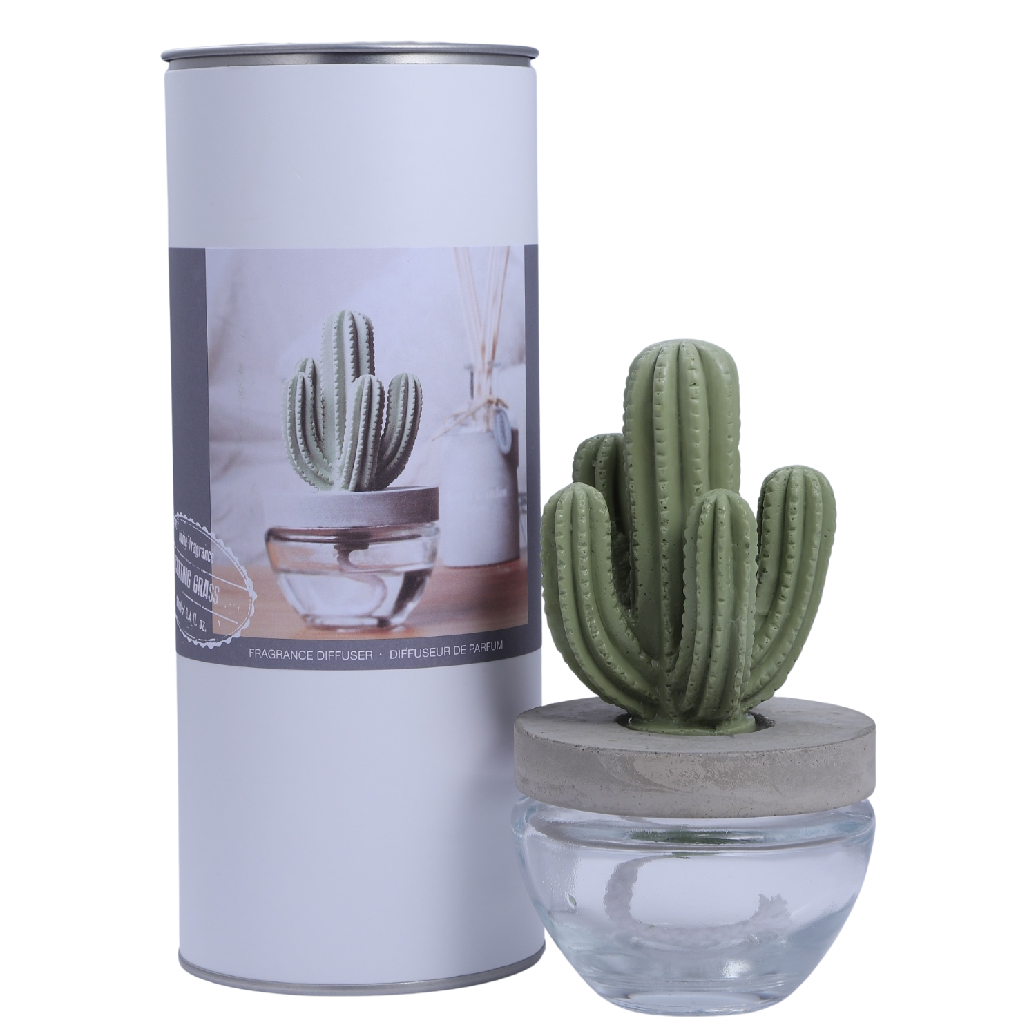 Ceramic Cactus Diffuser – PrettyValleyHome