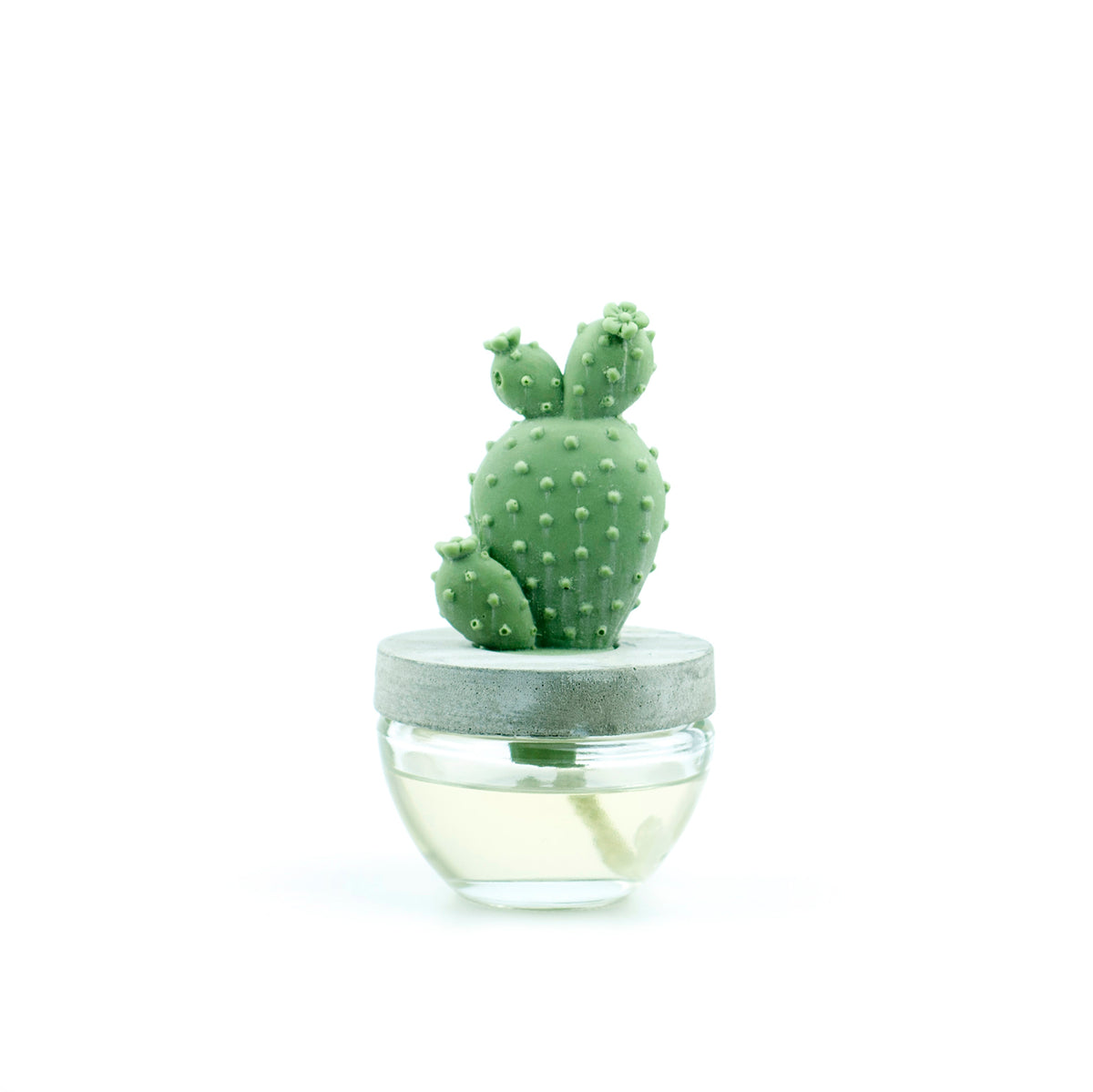 Cactus Fragrance Diffuser Set 6047-White Flower 100ml – PrettyValley