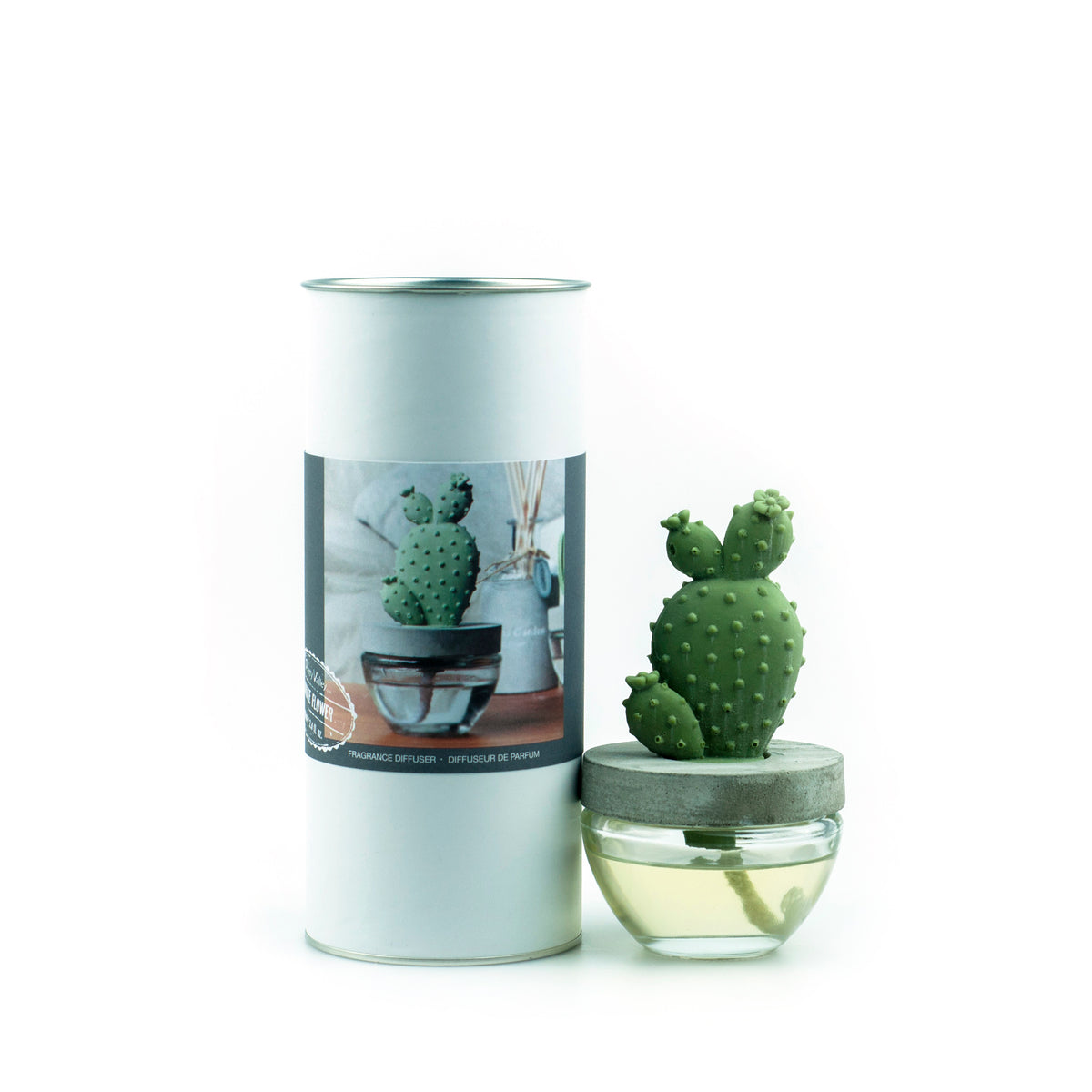 Cactus Fragrance Diffuser Set 6047-White Flower 100ml – PrettyValley